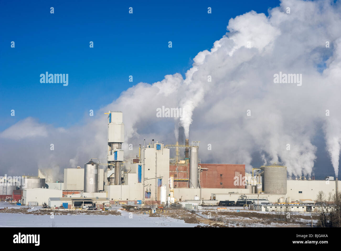 Wood pulp processing plant hi-res stock photography and images - Alamy