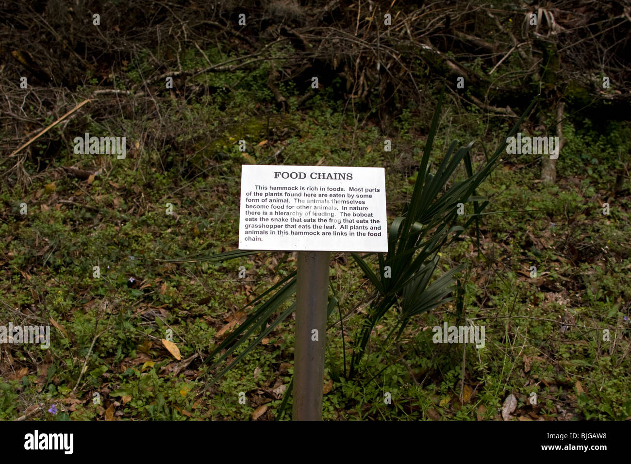 Sign describing the food chain cycle Stock Photo - Alamy
