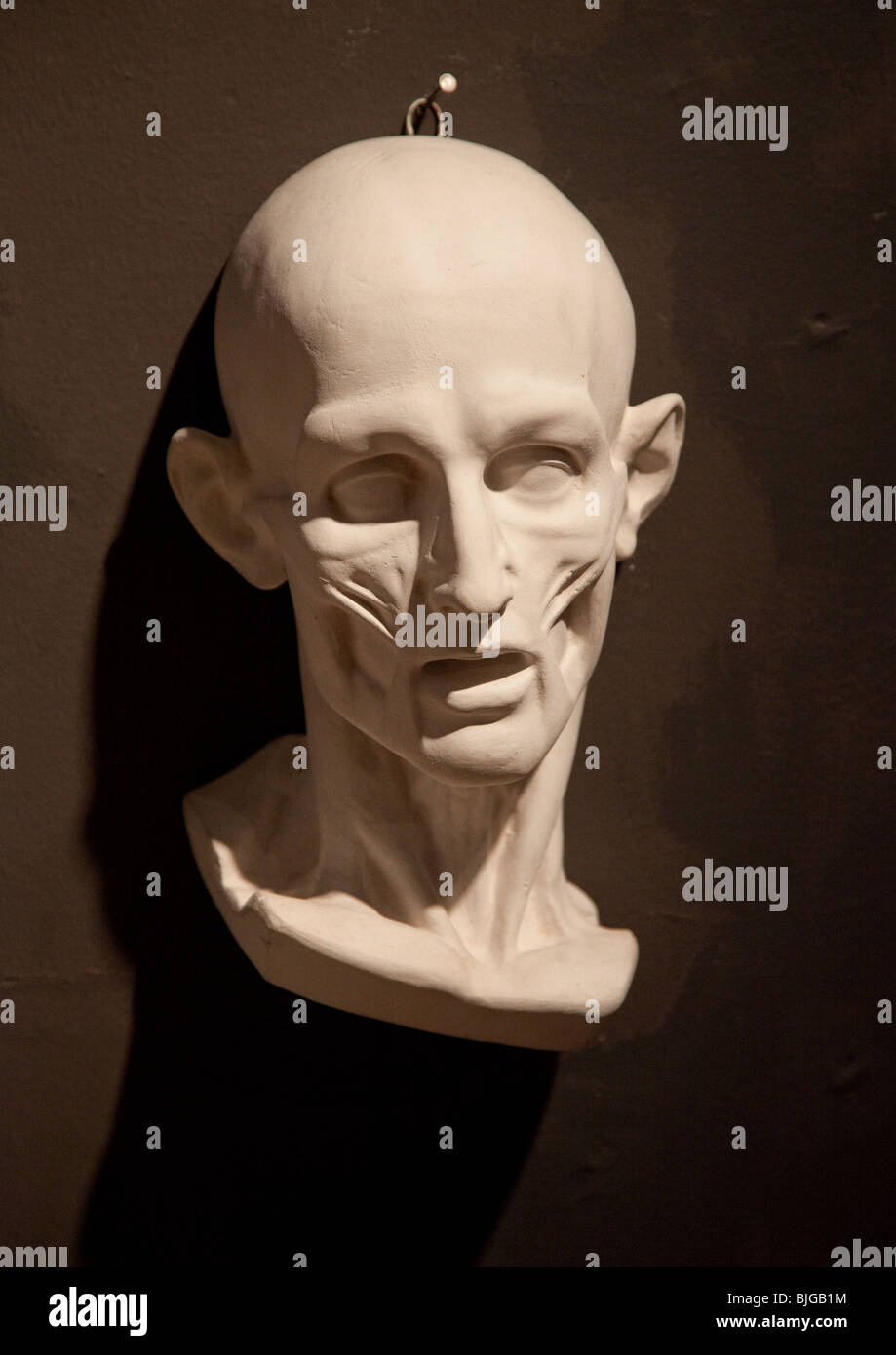 Morbid art hi-res stock photography and images - Alamy