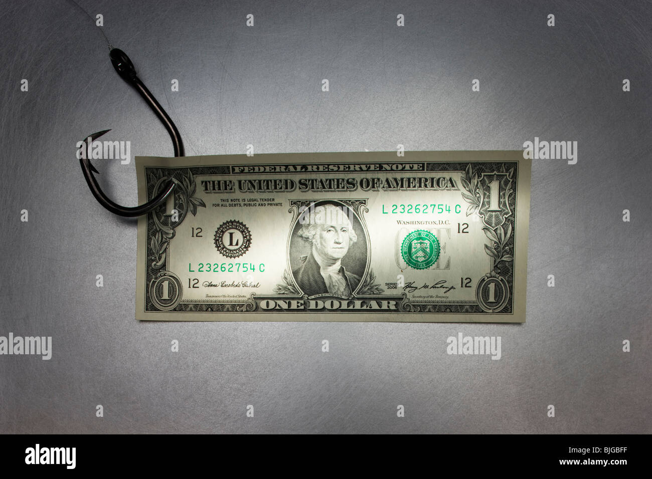 Silver dollar fish hi-res stock photography and images - Alamy