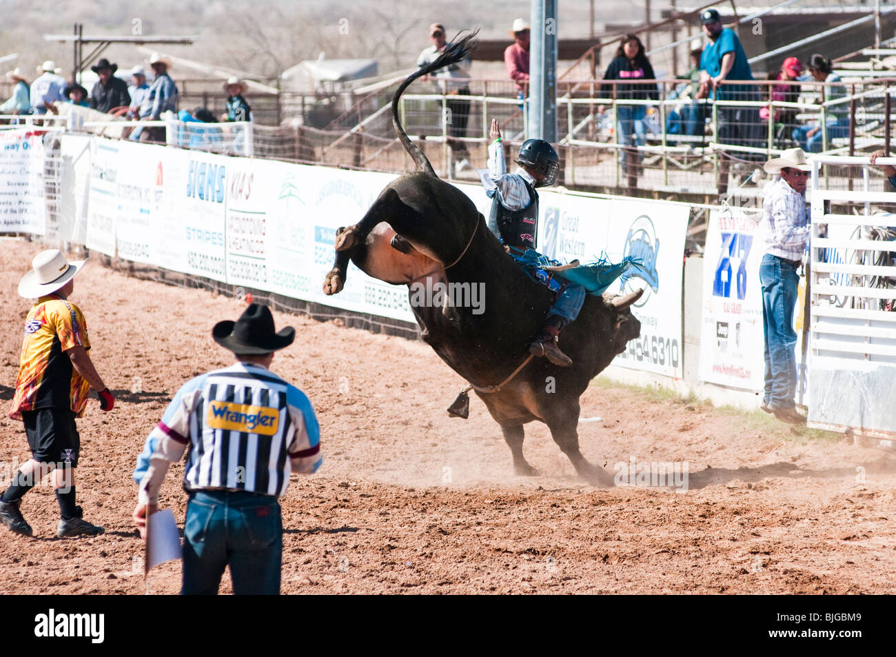 a cowboy competes in the bull riding event during the O'Odham Tash all ...