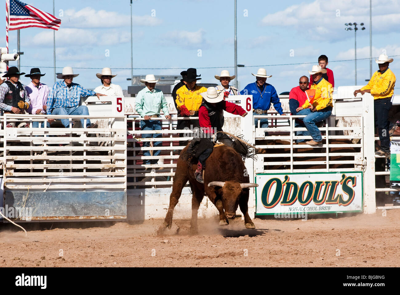a cowboy competes in the bull riding event during the O'Odham Tash all ...