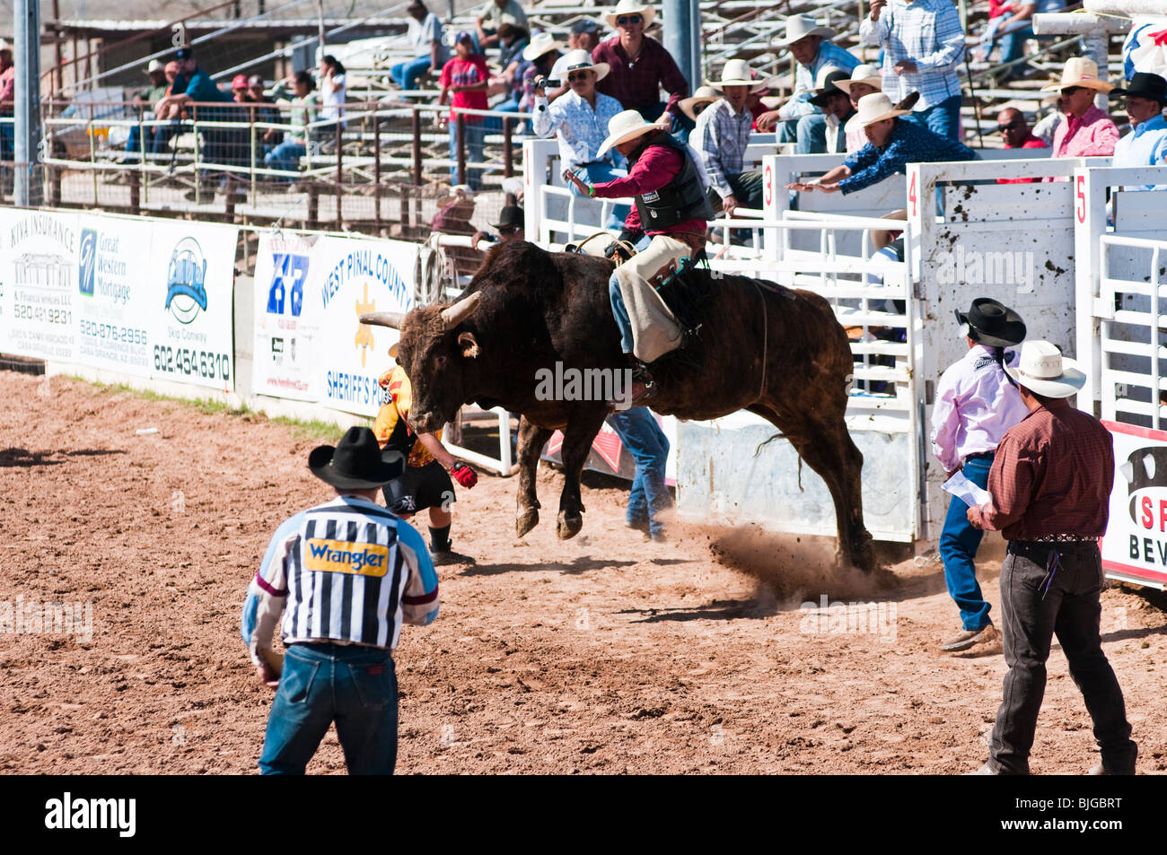 a cowboy competes in the bull riding event during the O'Odham Tash all ...