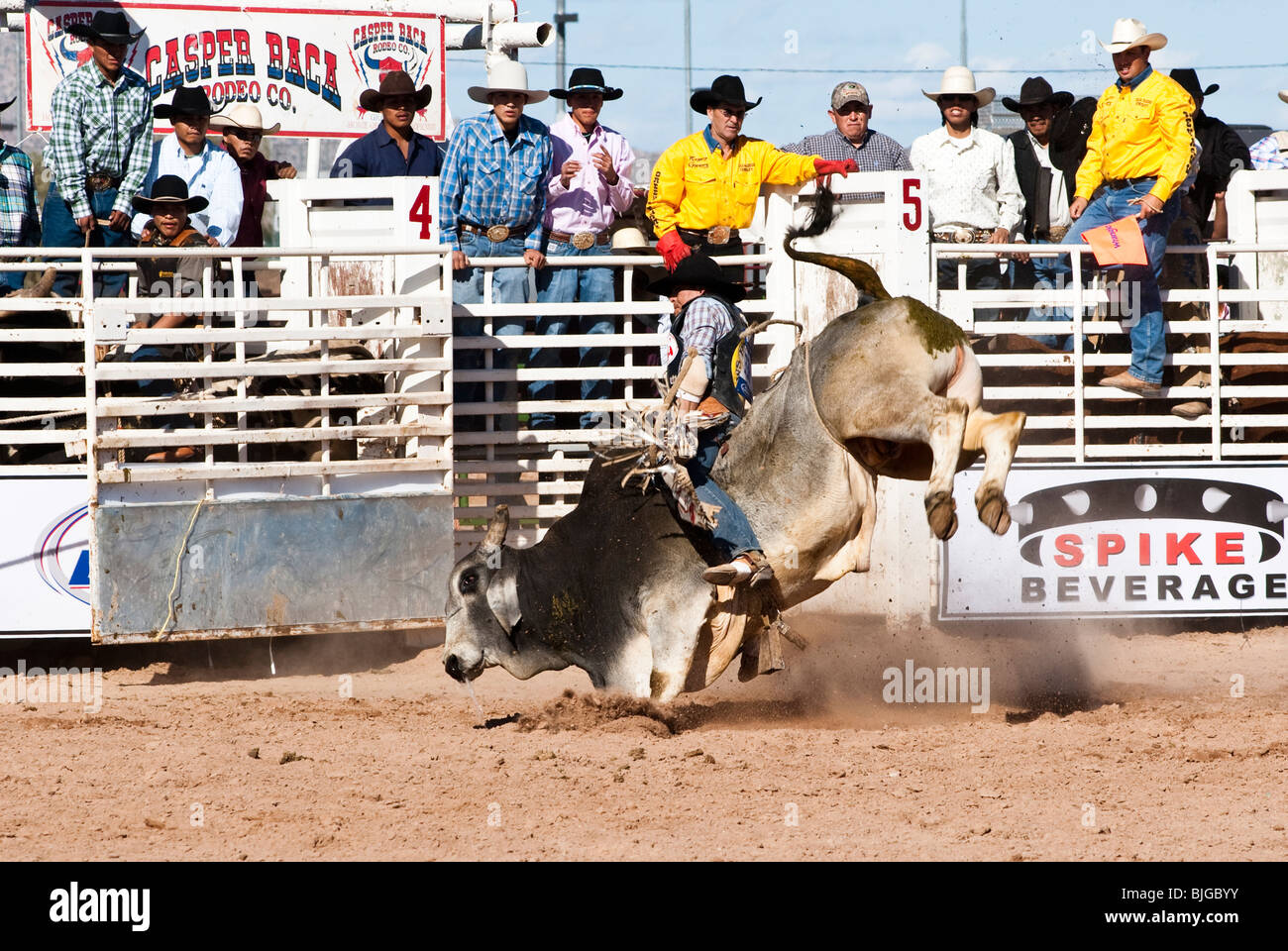 a cowboy competes in the bull riding event during the O'Odham Tash all ...