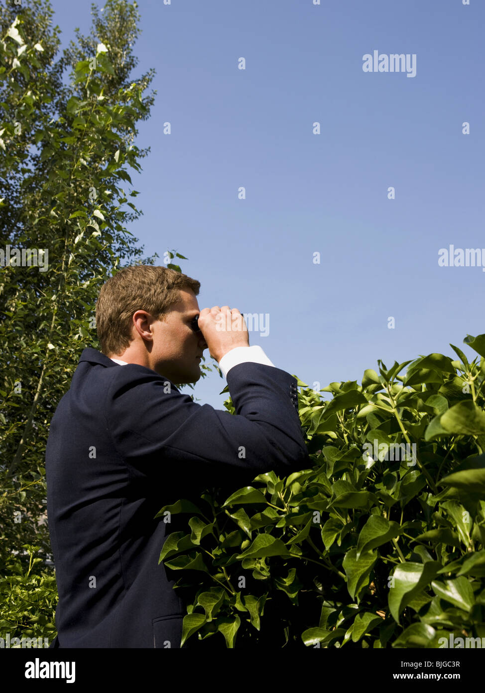 man looking over a hedge with binoculars Stock Photo - Alamy