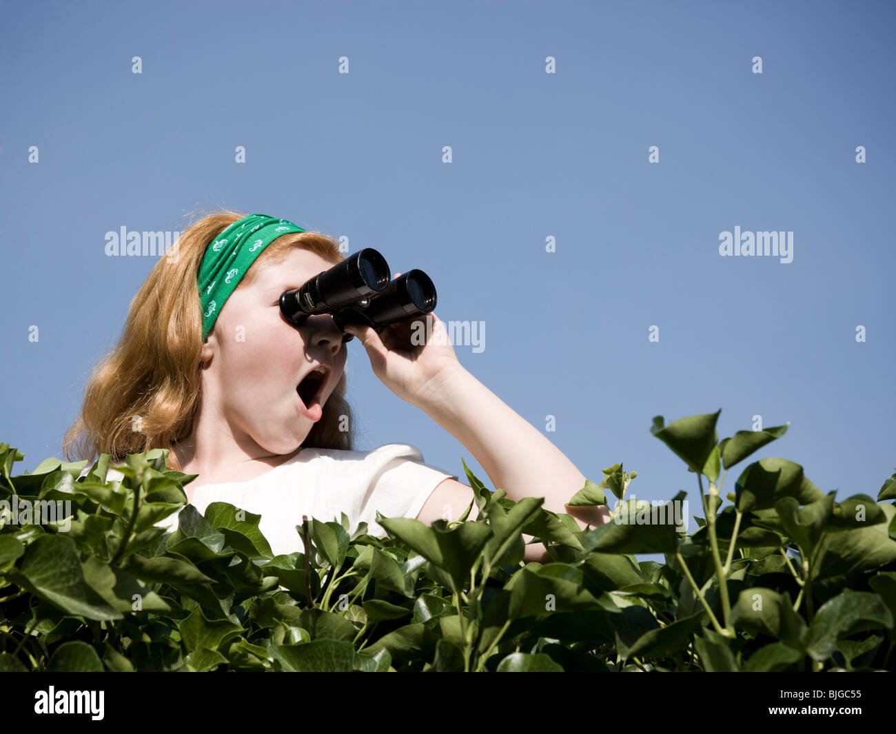 girl looking over a hedge with binoculars Stock Photo - Alamy