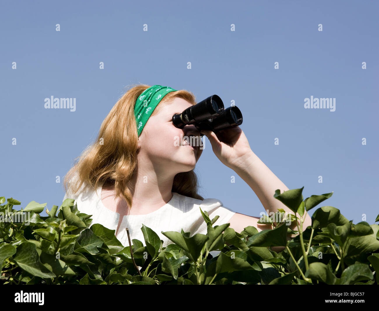 girl looking over a hedge with binoculars Stock Photo - Alamy