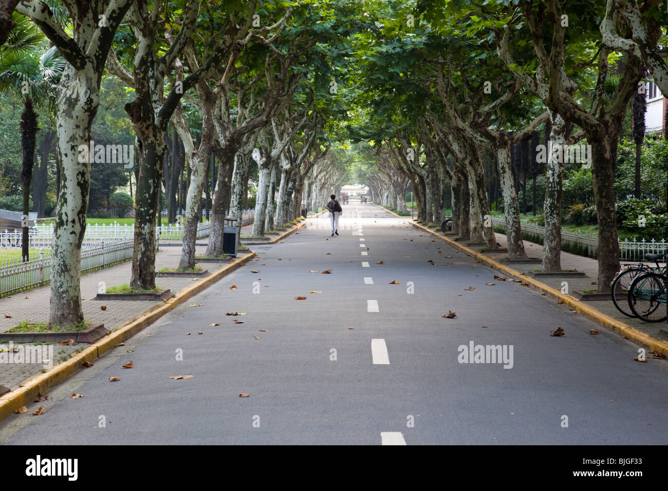 Fudan university campus hi-res stock photography and images - Alamy
