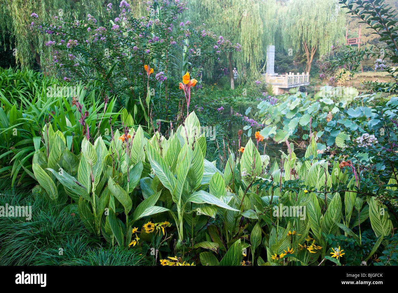 Xi Hu, West Lake, Hangzhou, China Stock Photo - Alamy