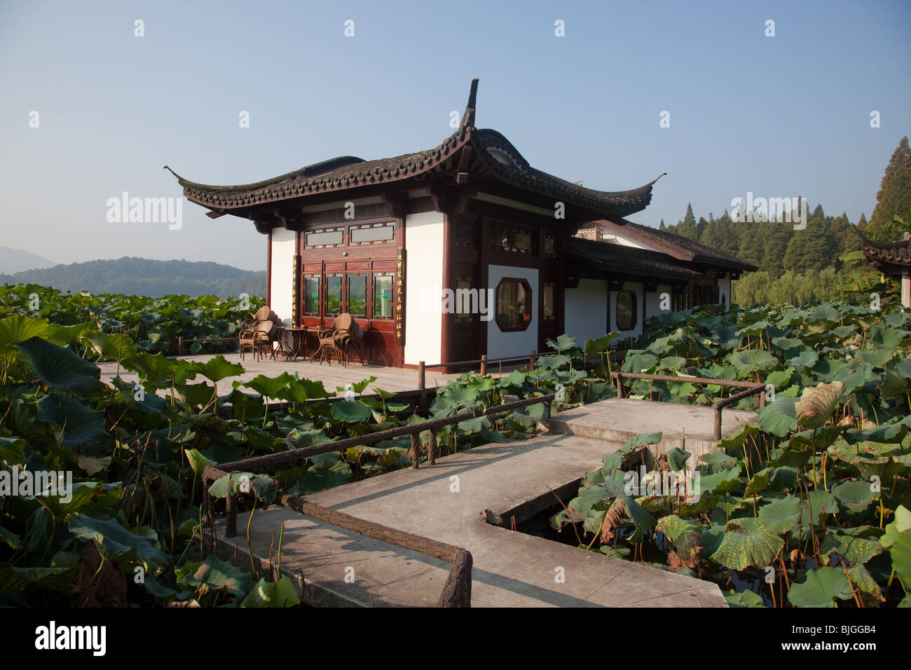 Xi Hu, West Lake, Hangzhou, China Stock Photo - Alamy