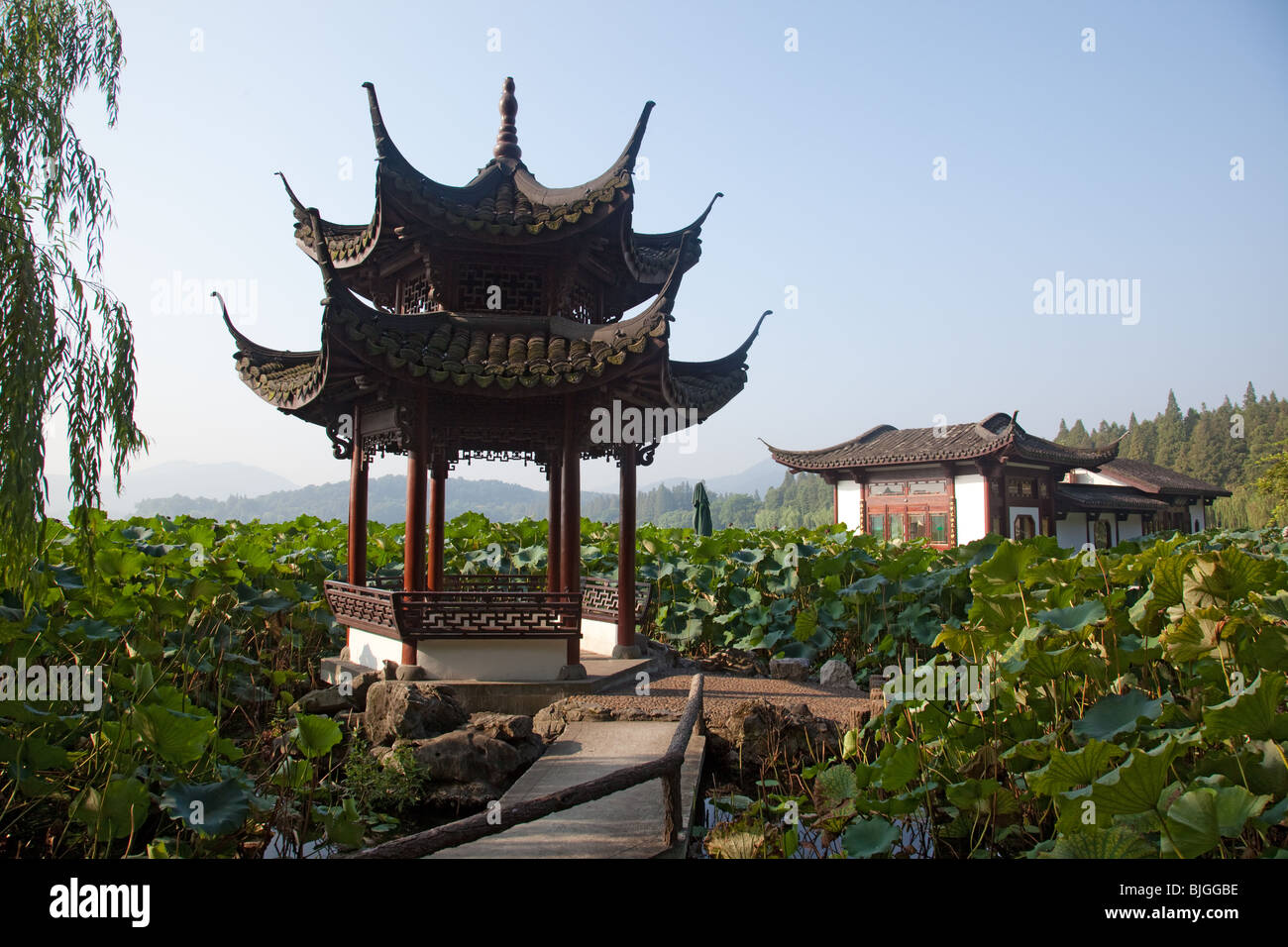 Xi Hu, West Lake, Hangzhou, China Stock Photo - Alamy