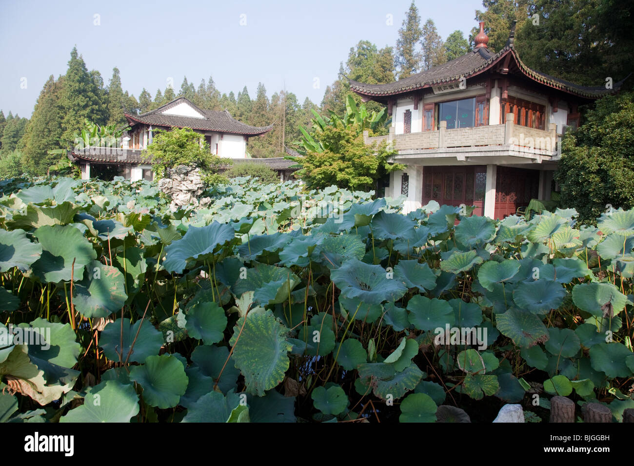 Xi hu garden hi-res stock photography and images - Alamy