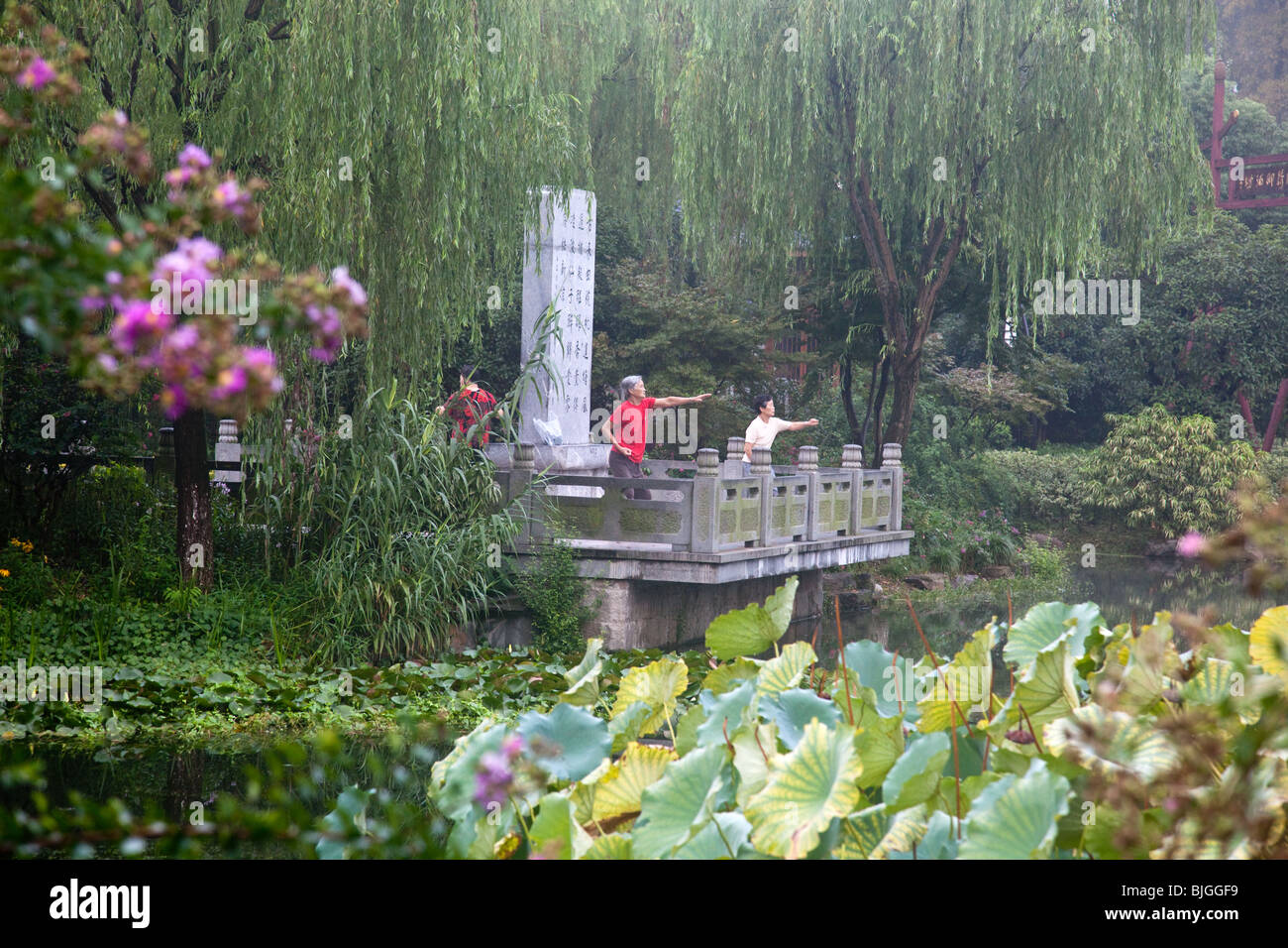 Morning exercise at Xi Hu, West Lake, Hangzhou, China Stock Photo - Alamy