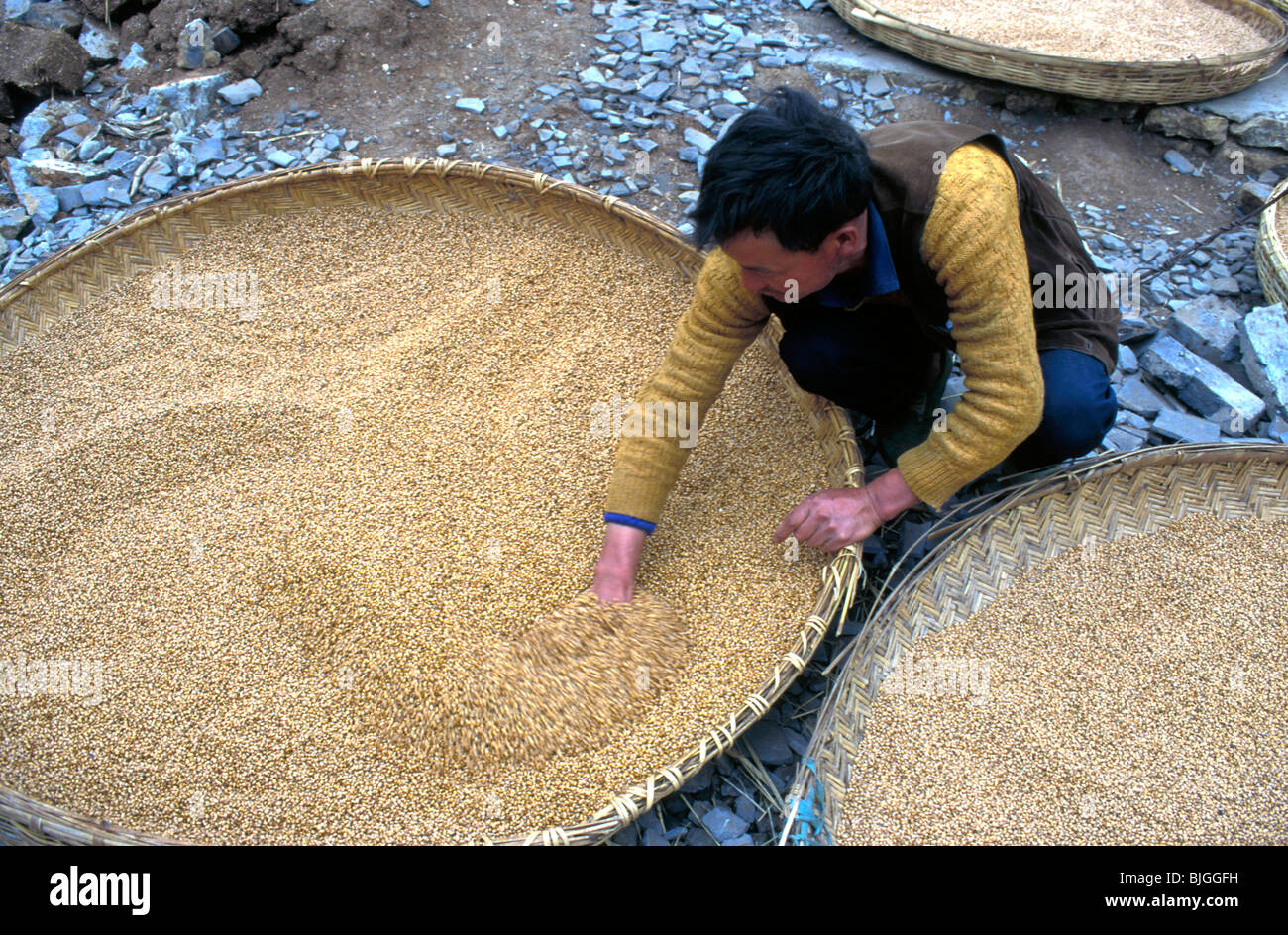 CHINA GRAIN STORAGE CENTRE IN A VILLAGE CO-OP. YUNNAN PROVINCE Photo ...