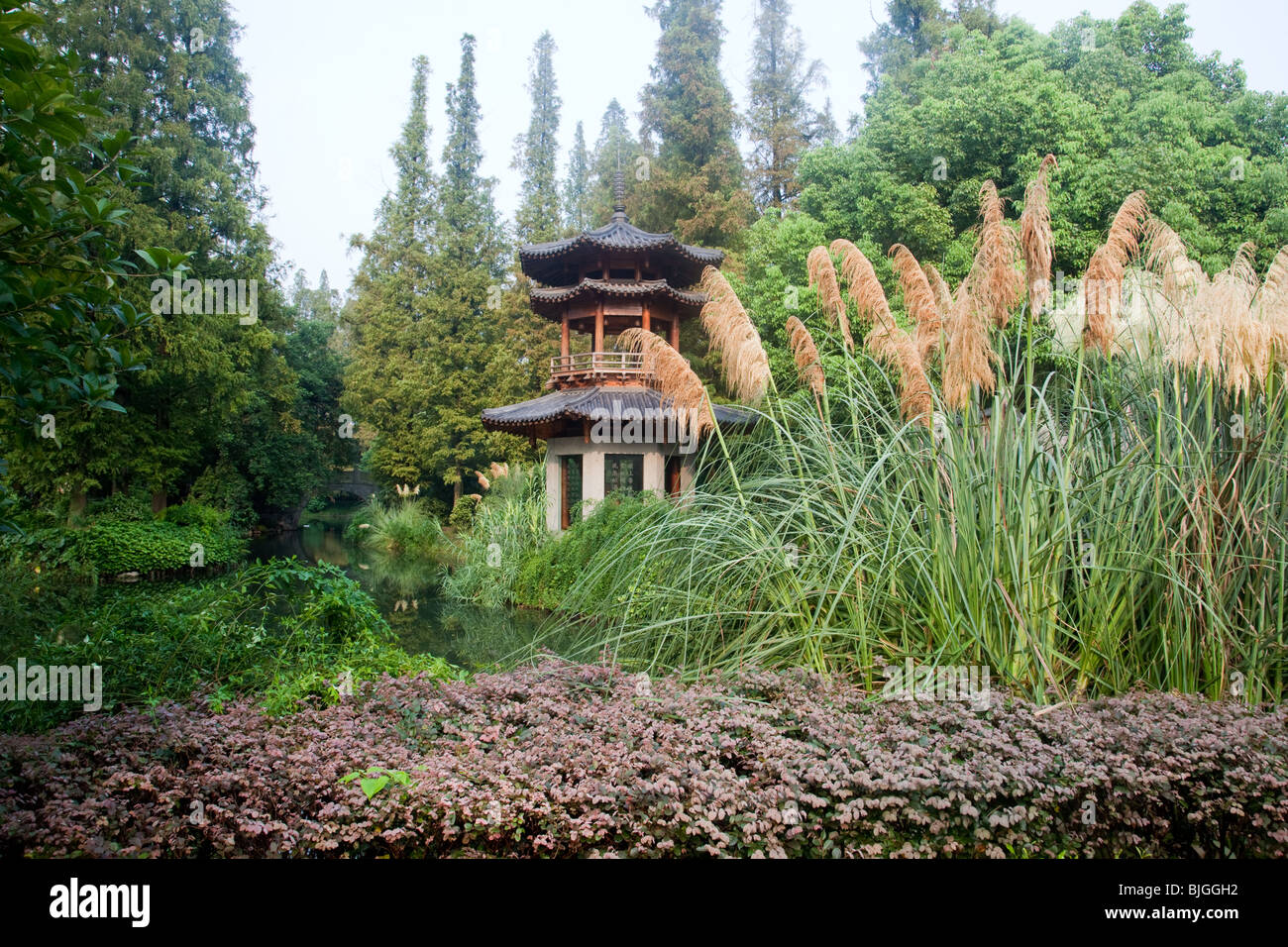 Xi Hu, West Lake, Hangzhou, China Stock Photo - Alamy