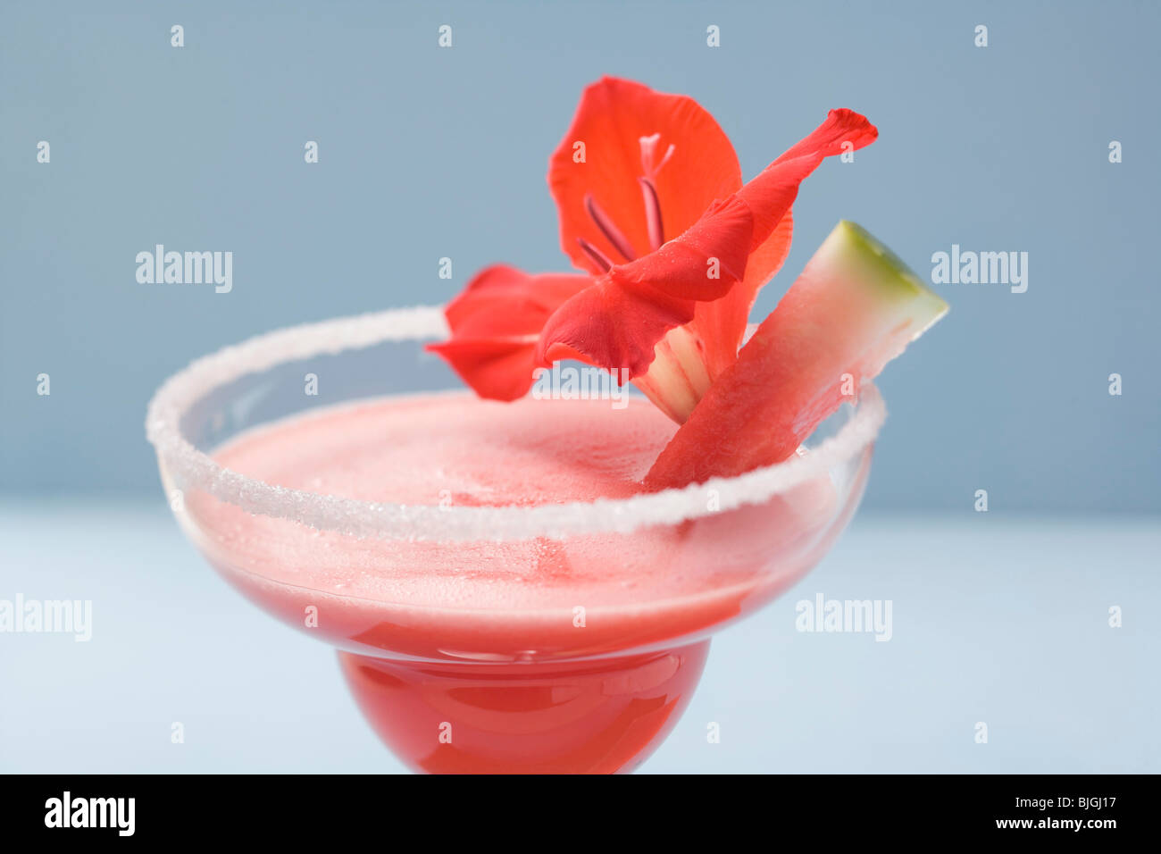 Watermelon flower hi-res stock photography and images - Alamy