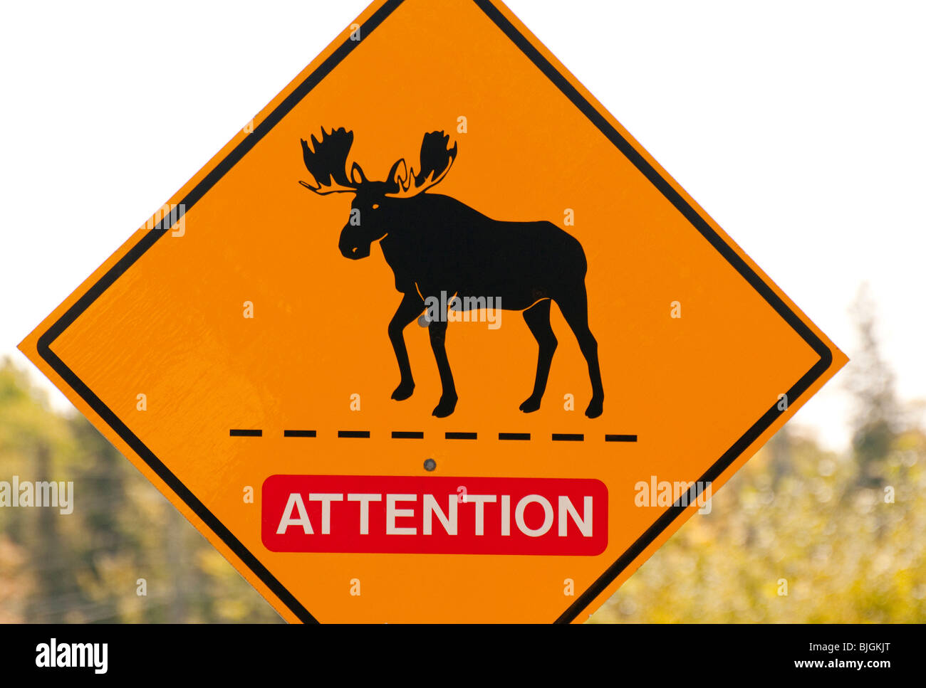 NEW BRUNSWICK, Moose crossing sign along the highway, Miramichi River ...