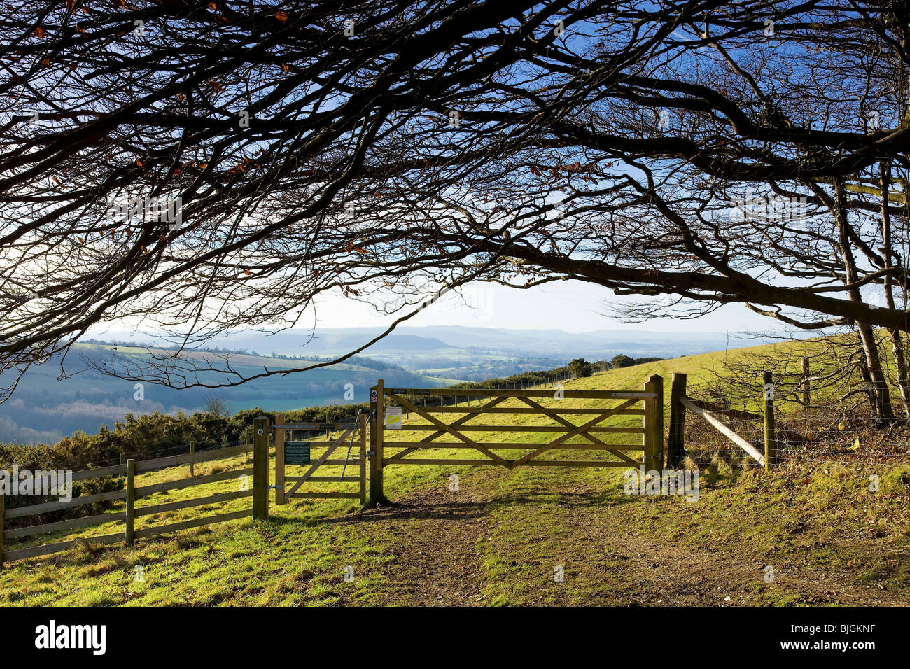 footpath over Fontmell Down,Dorset Stock Photo - Alamy