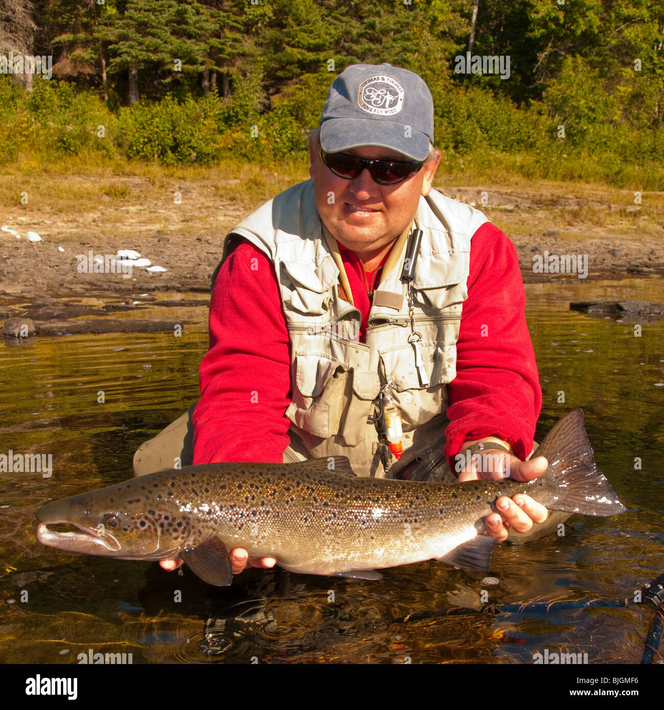 NEW BRUNSWICK, Happy Fly Fisherman releasing Atlantic Salmon on the ...