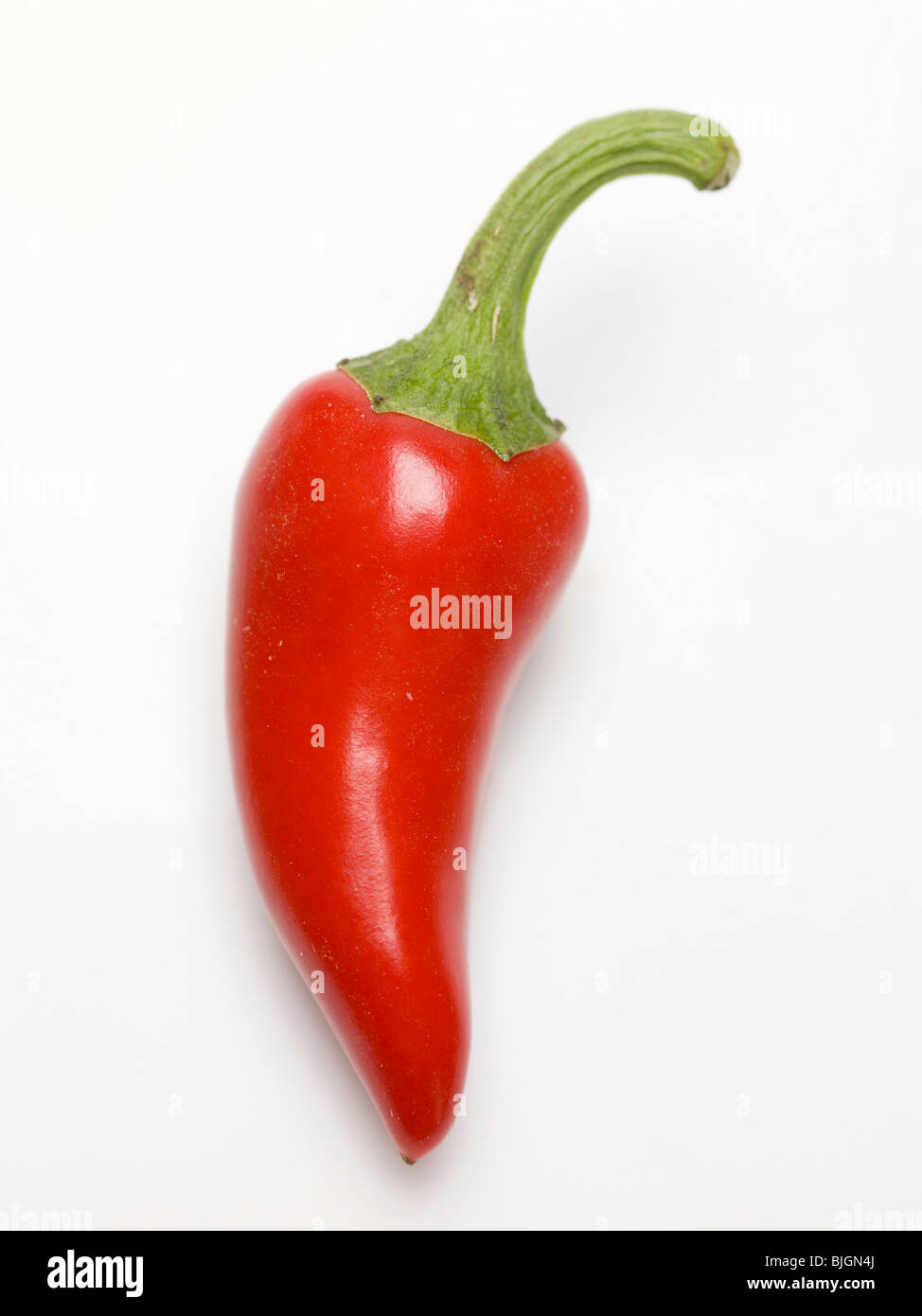 A red chilli Stock Photo - Alamy