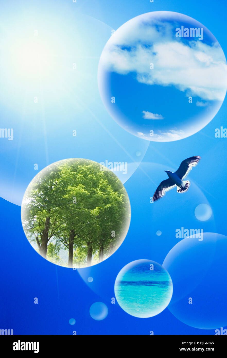 Digital composite of natural images Stock Photo - Alamy