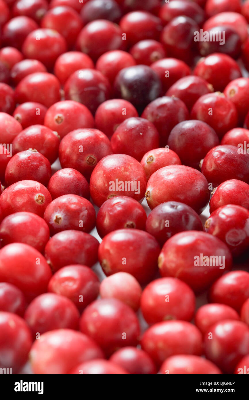 Cranberries (full-frame Stock Photo - Alamy