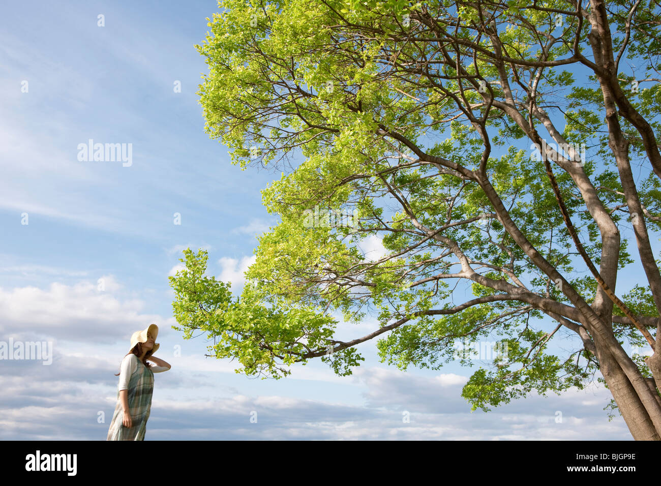 Woman standing next to a tree Stock Photo - Alamy