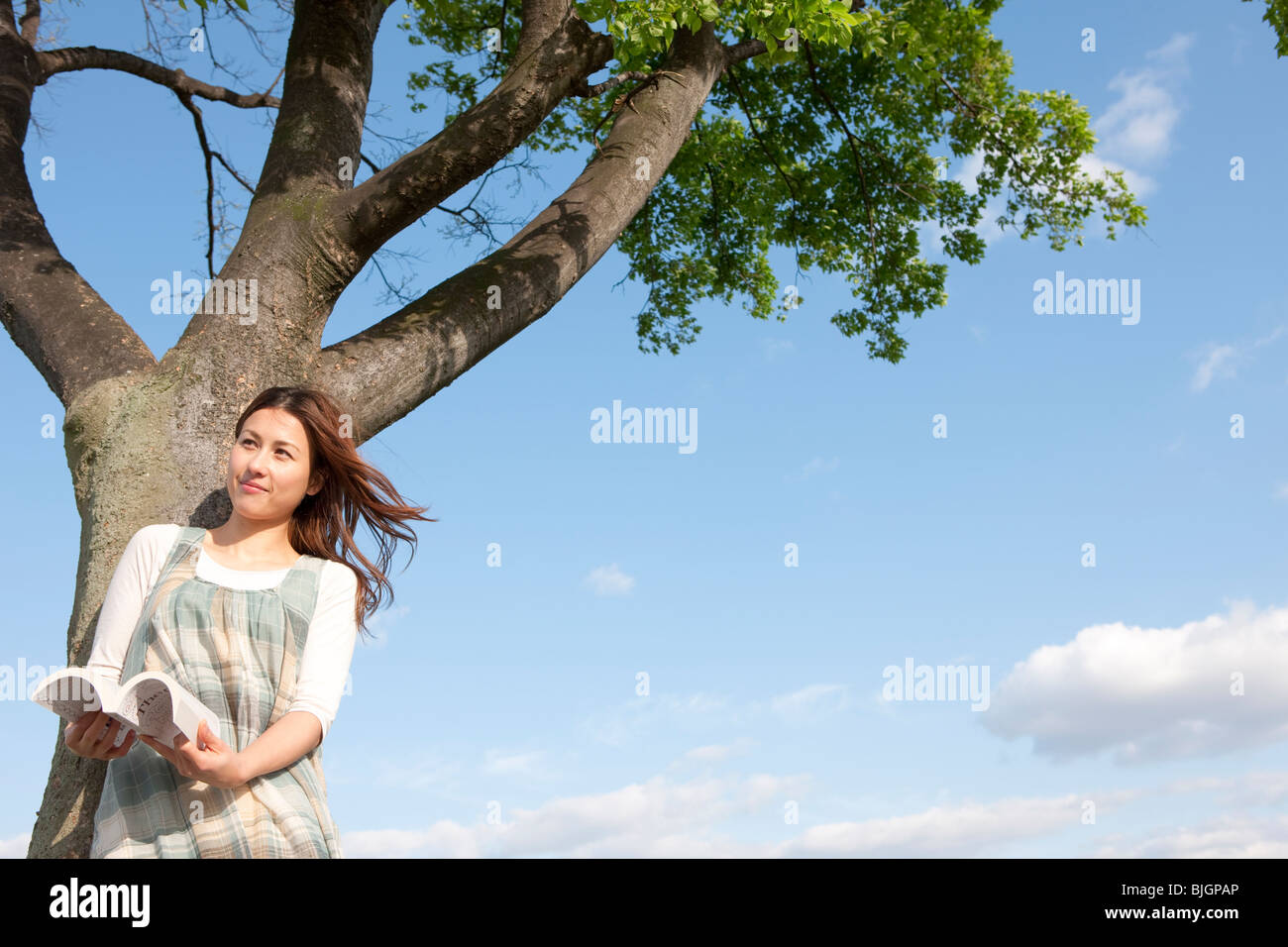 Woman reading a book next to a tree Stock Photo - Alamy