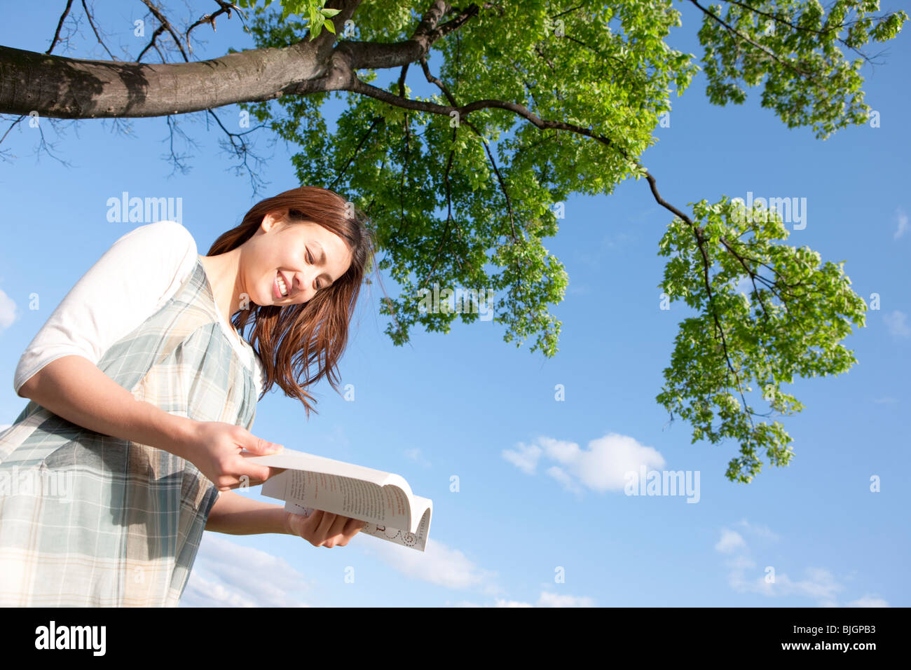 Woman reading a book next to a tree Stock Photo - Alamy