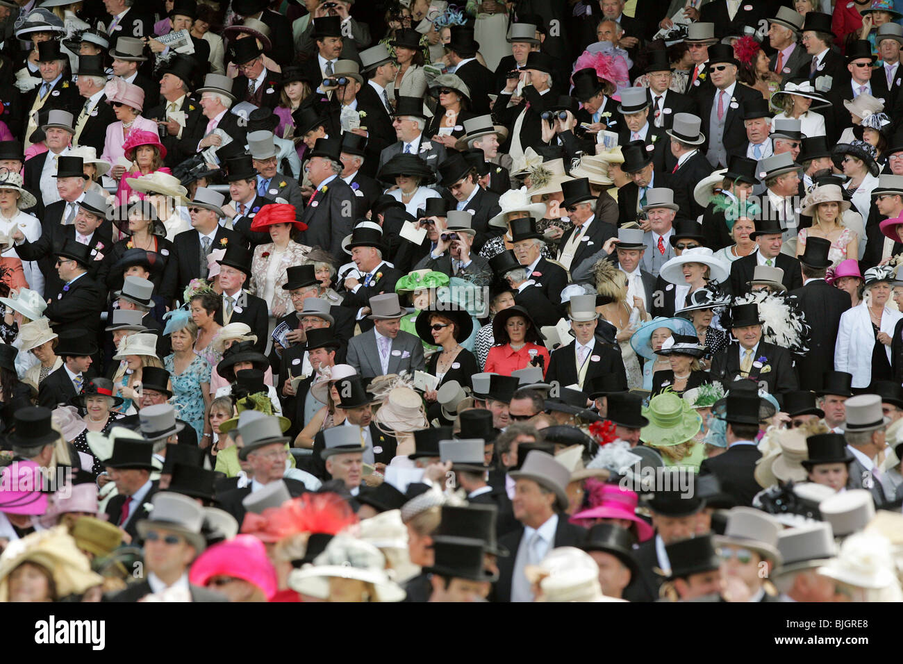 Horse Racing Crowd Spectators Audience High Resolution Stock ...