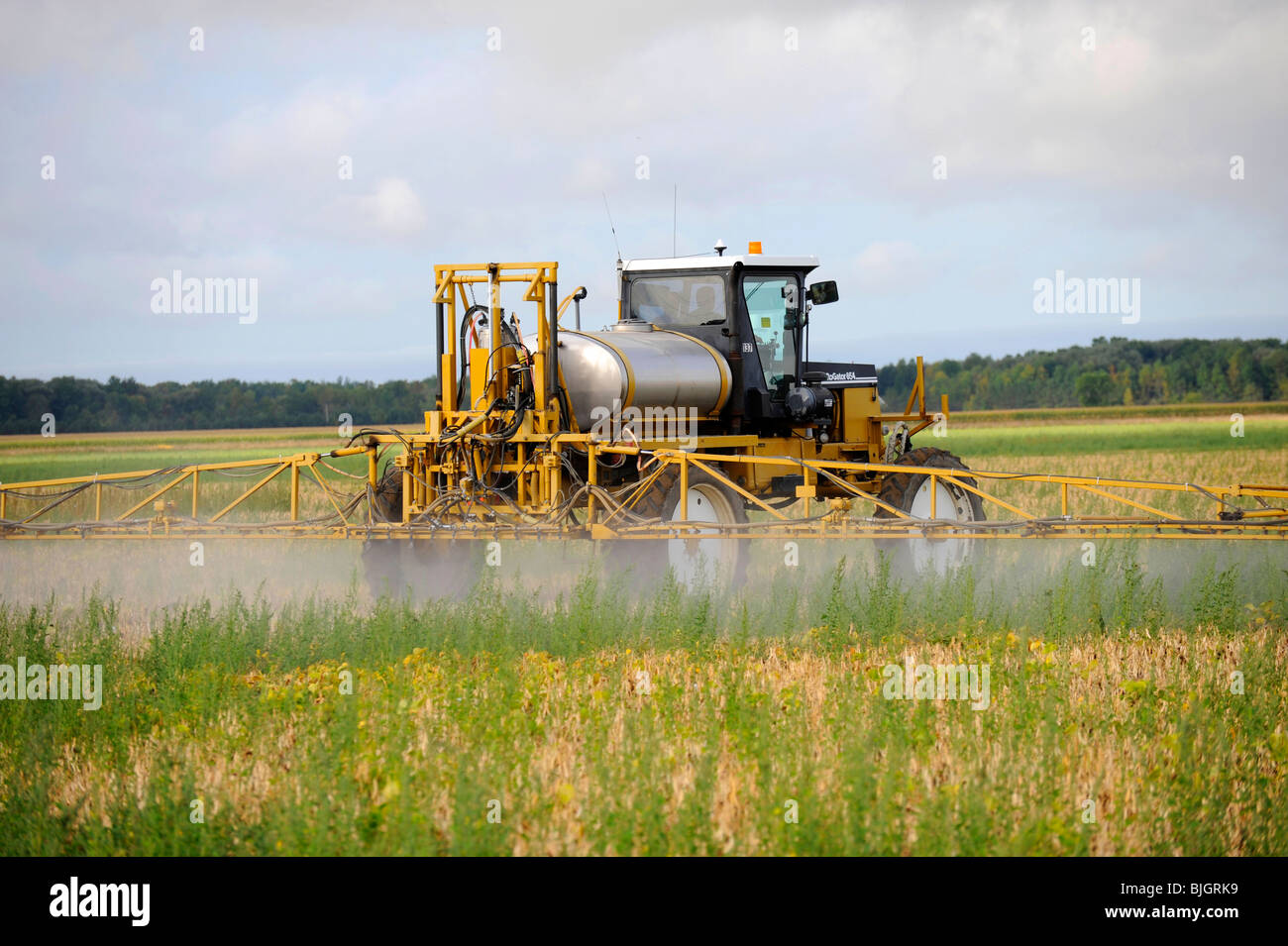 Applying Herbicide to help eliminate problem harvesting soybeans Stock ...