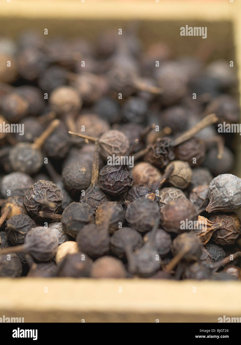 Juniper berries frame hi-res stock photography and images - Alamy