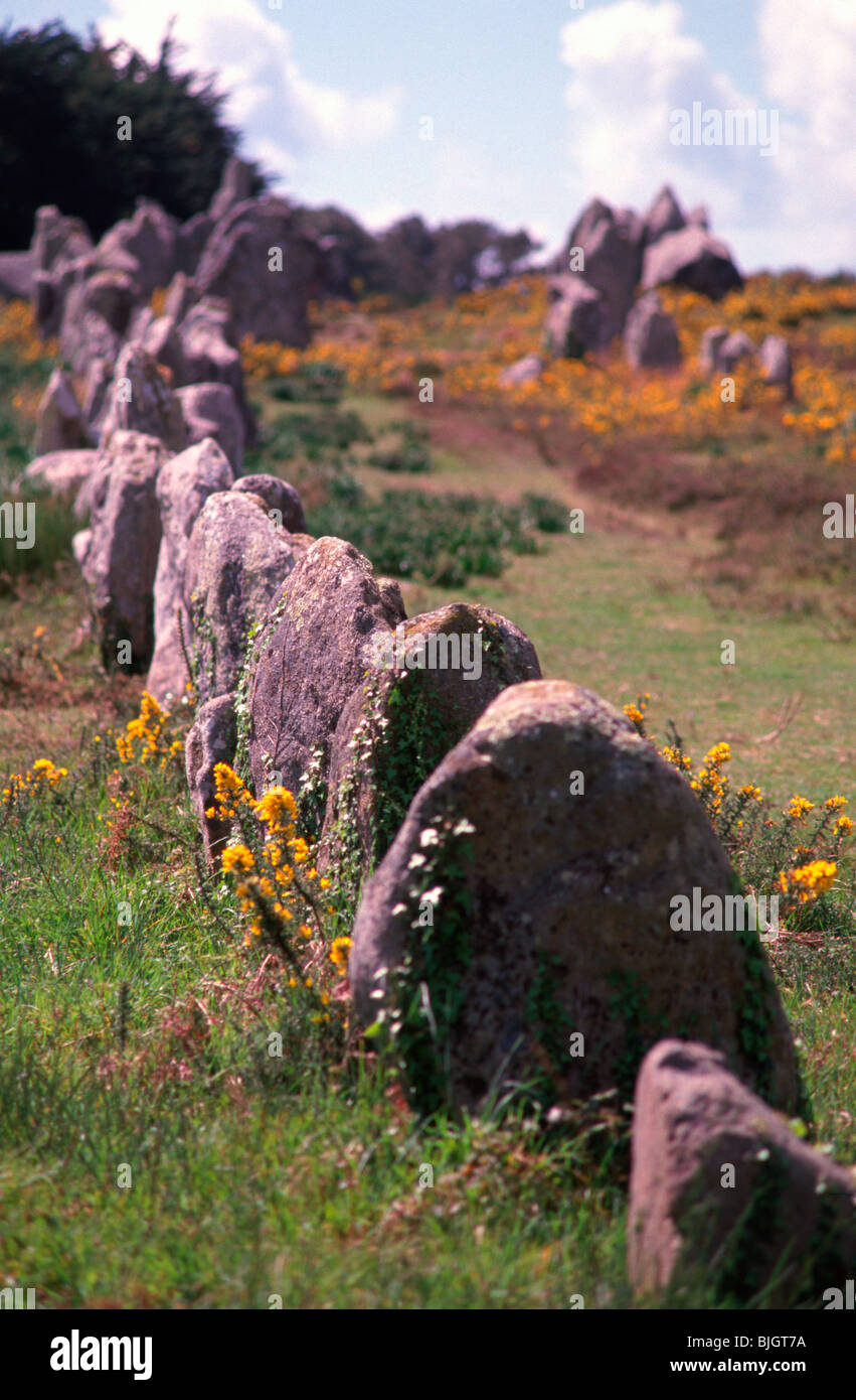 Standing stones. Kermario Neolithic alignments. Carnac Stones. Morbihan ...