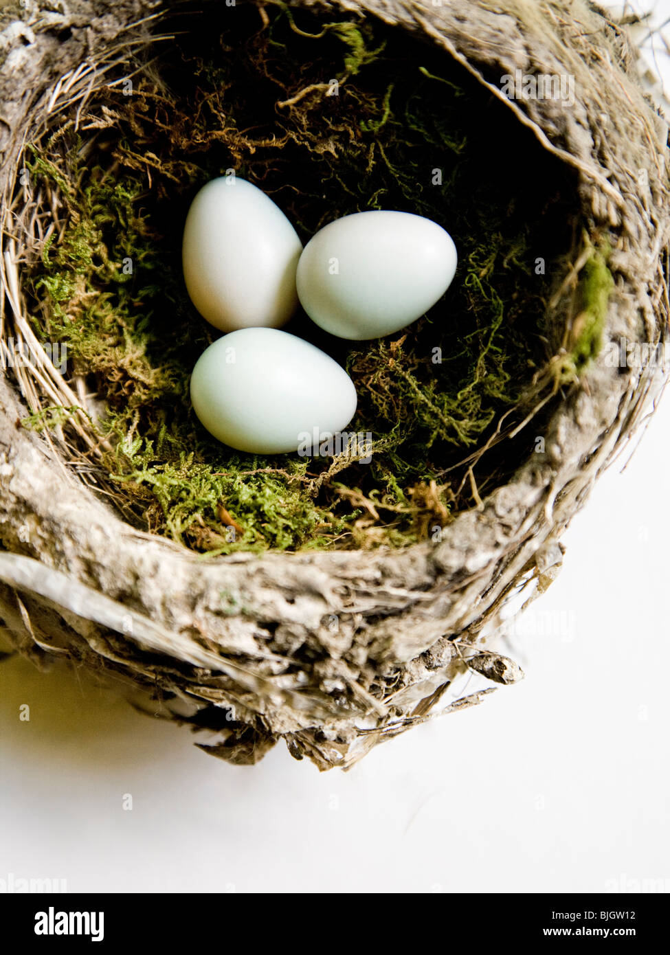 eggs in a nest Stock Photo - Alamy