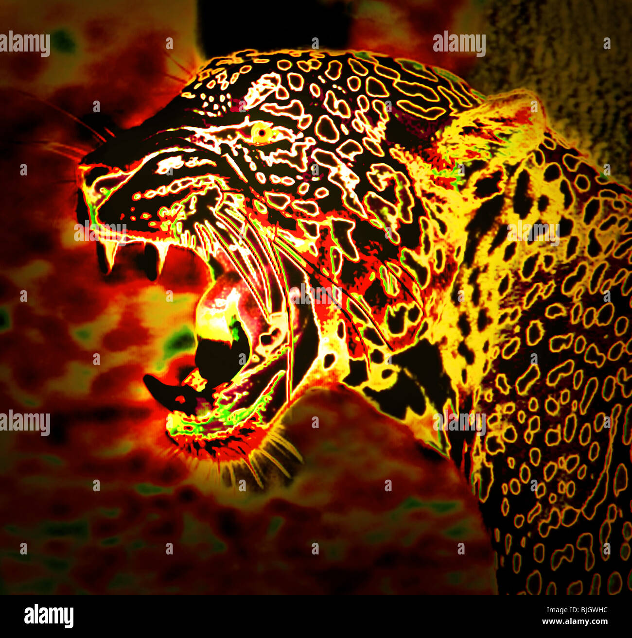 Howling wolf indian hi-res stock photography and images - Alamy