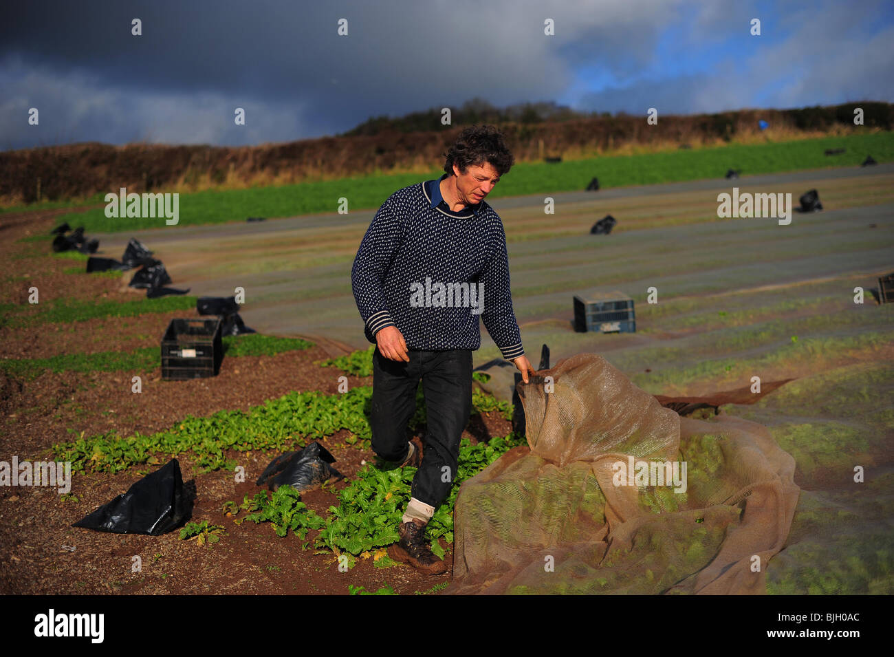 Guy Watson, a founder of Riverford Farm Organic food box delivery ...