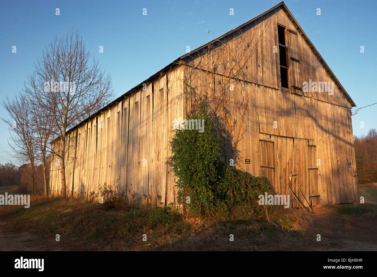 An old barn facing into the late afternoon setting sun in rural ...