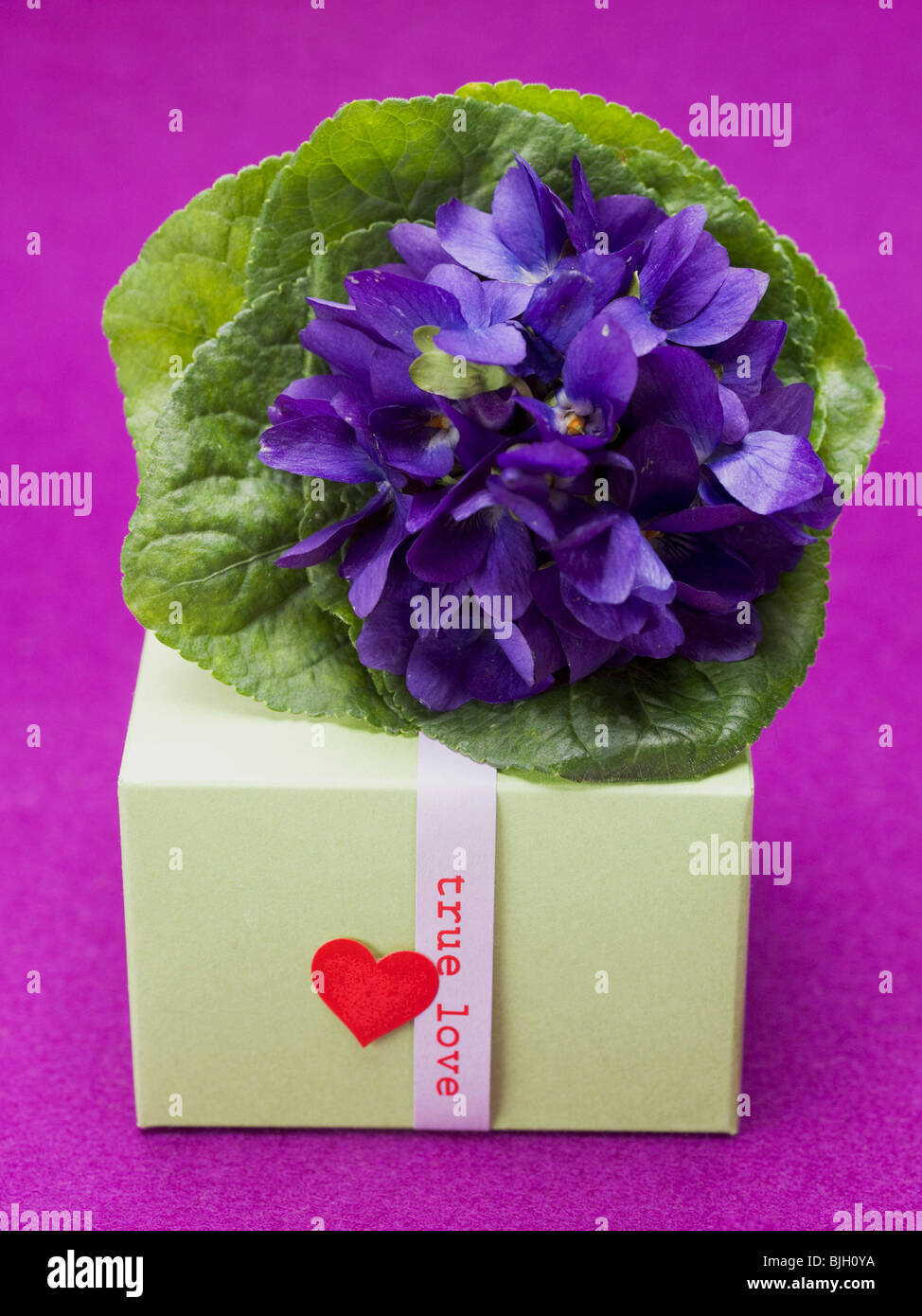 Posy decoration hi-res stock photography and images - Alamy