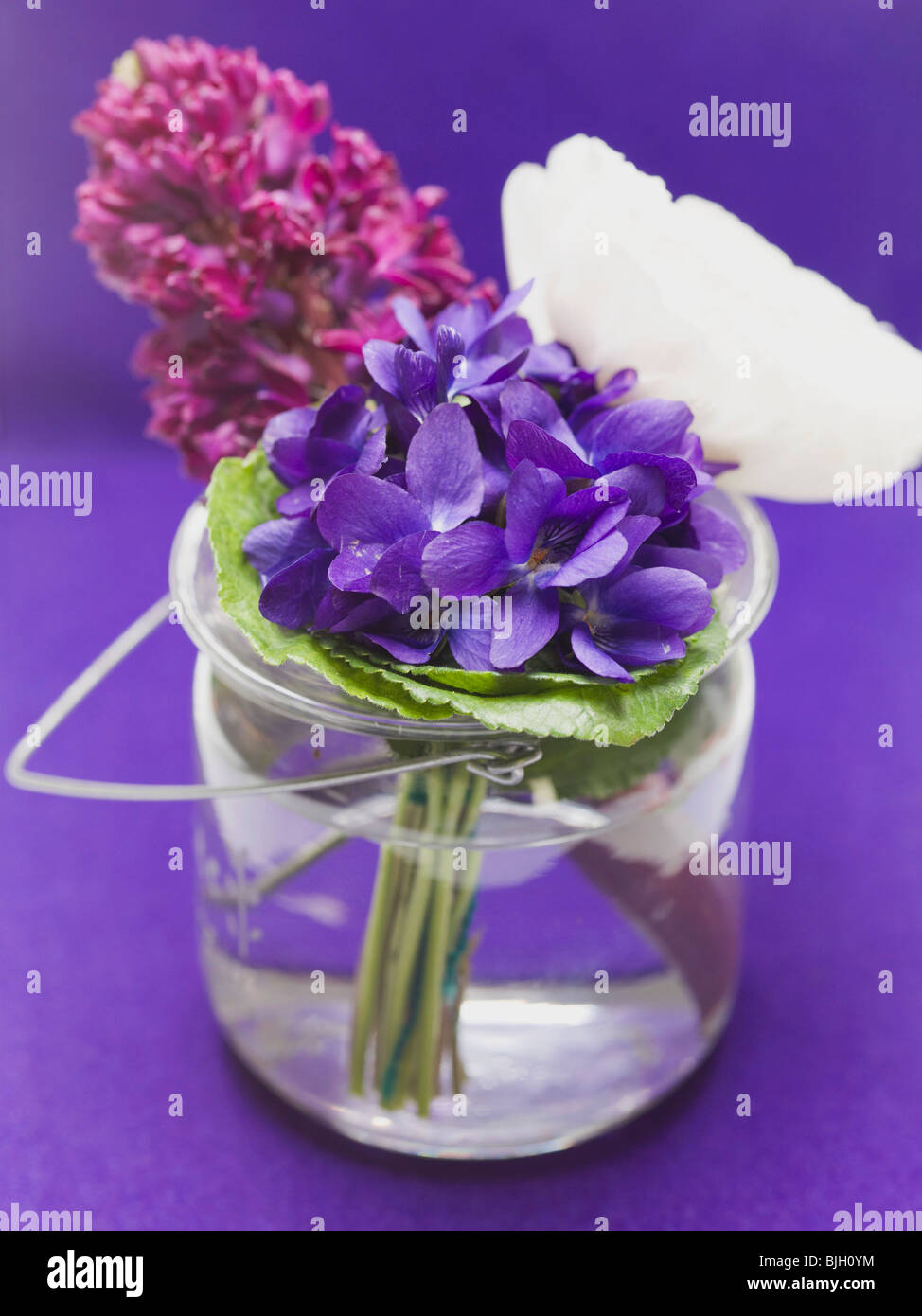 Spring flowers in a glass of water Stock Photo - Alamy