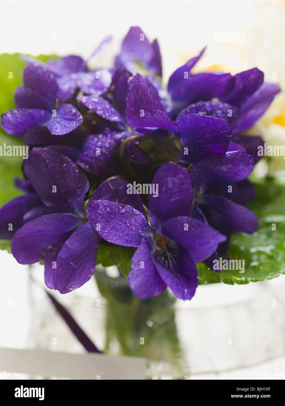 Food violets hi-res stock photography and images - Alamy
