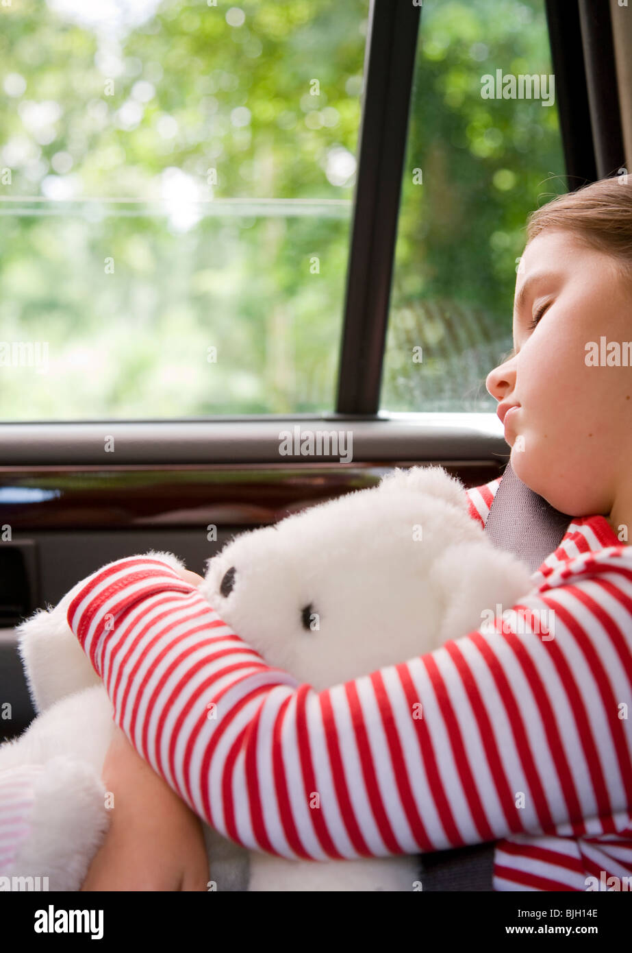 Cuddling Teddy Bear High Resolution Stock Photography and Images - Alamy