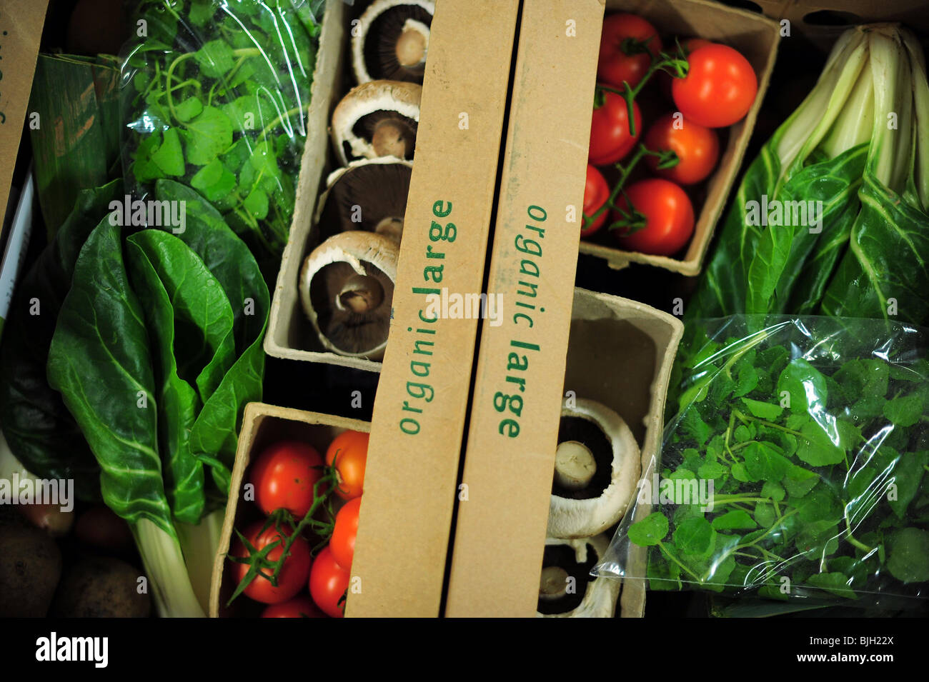 Riverford Farm Organic food boxes, which are delivered countrywide ...