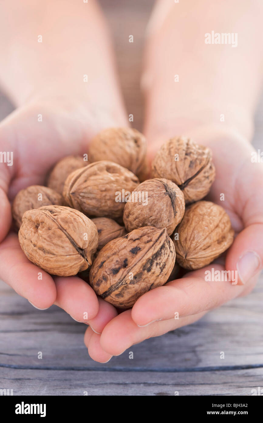 Hands holding walnuts Stock Photo - Alamy