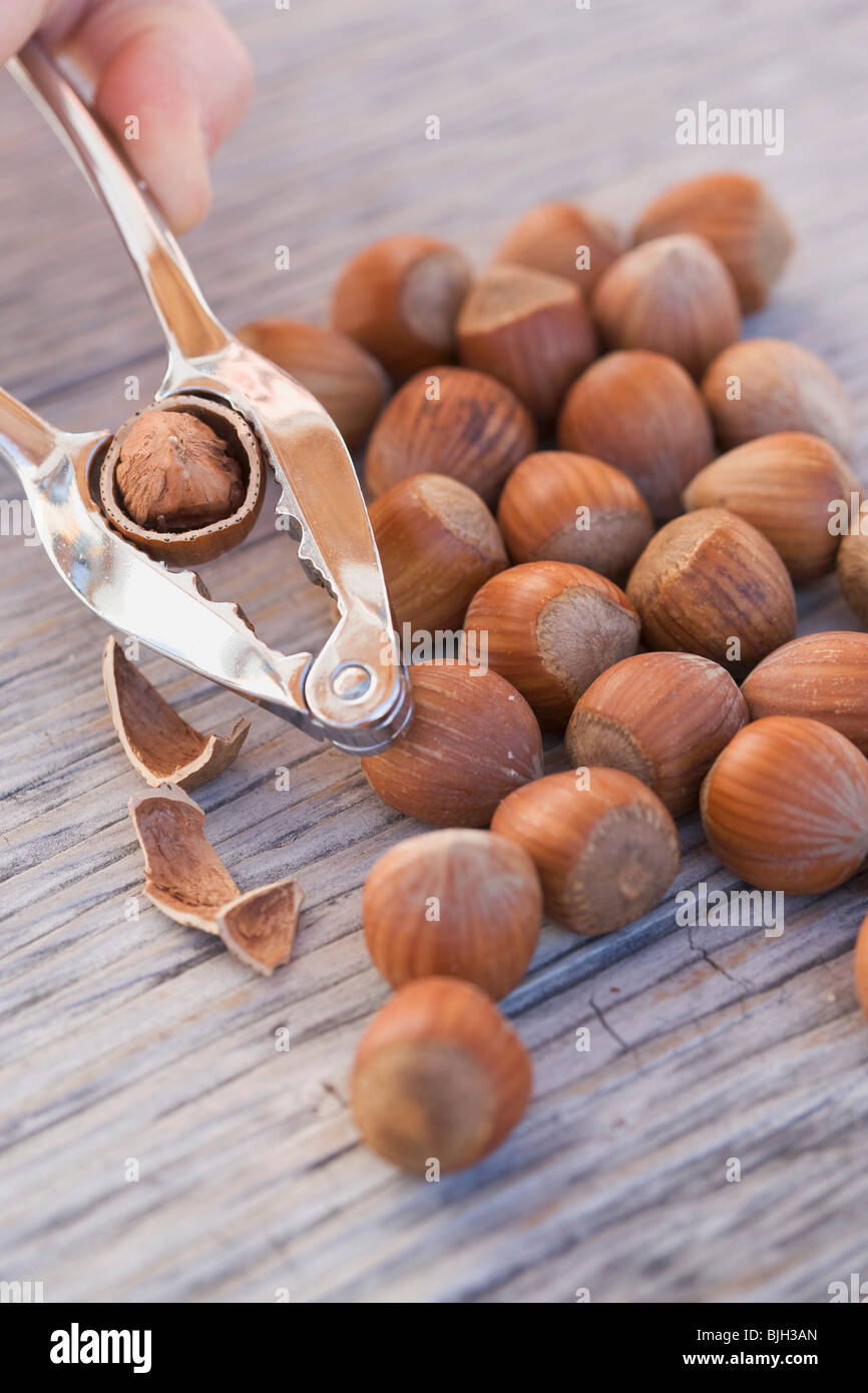 Hazelnuts with nutcracker Stock Photo - Alamy