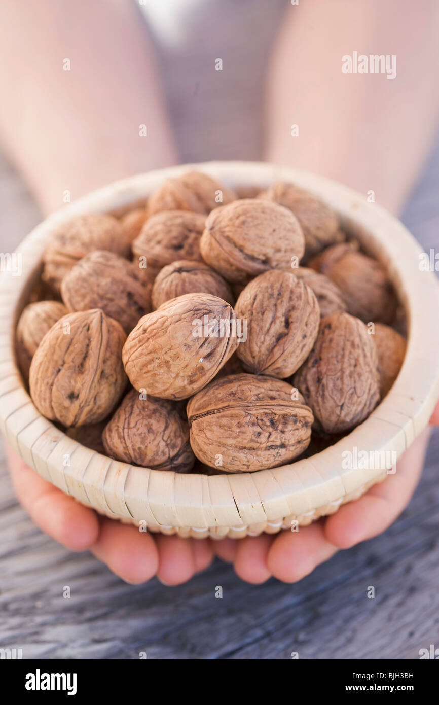 Hands holding basket of walnuts Stock Photo - Alamy
