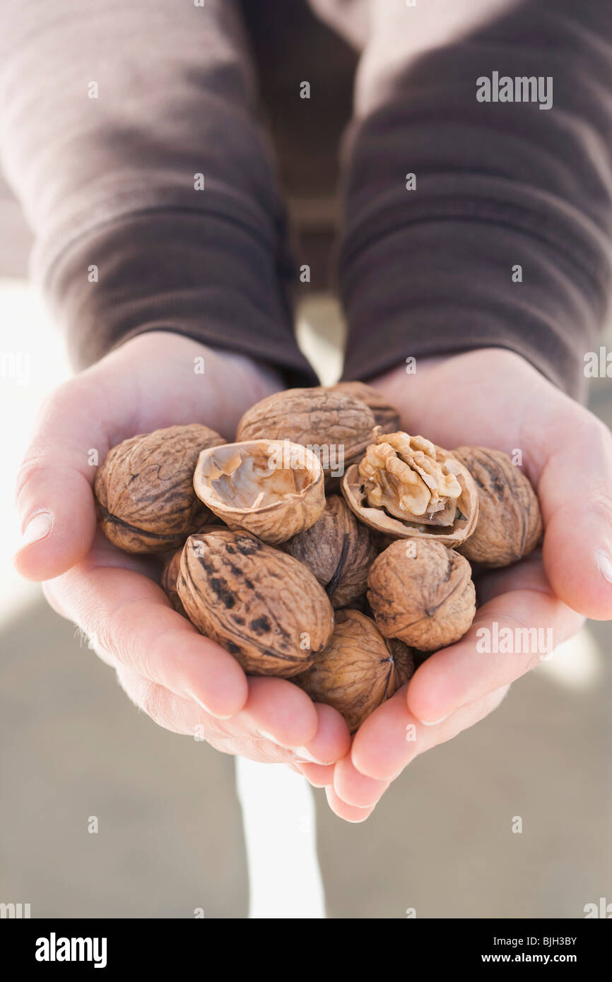 Hands holding walnuts Stock Photo - Alamy