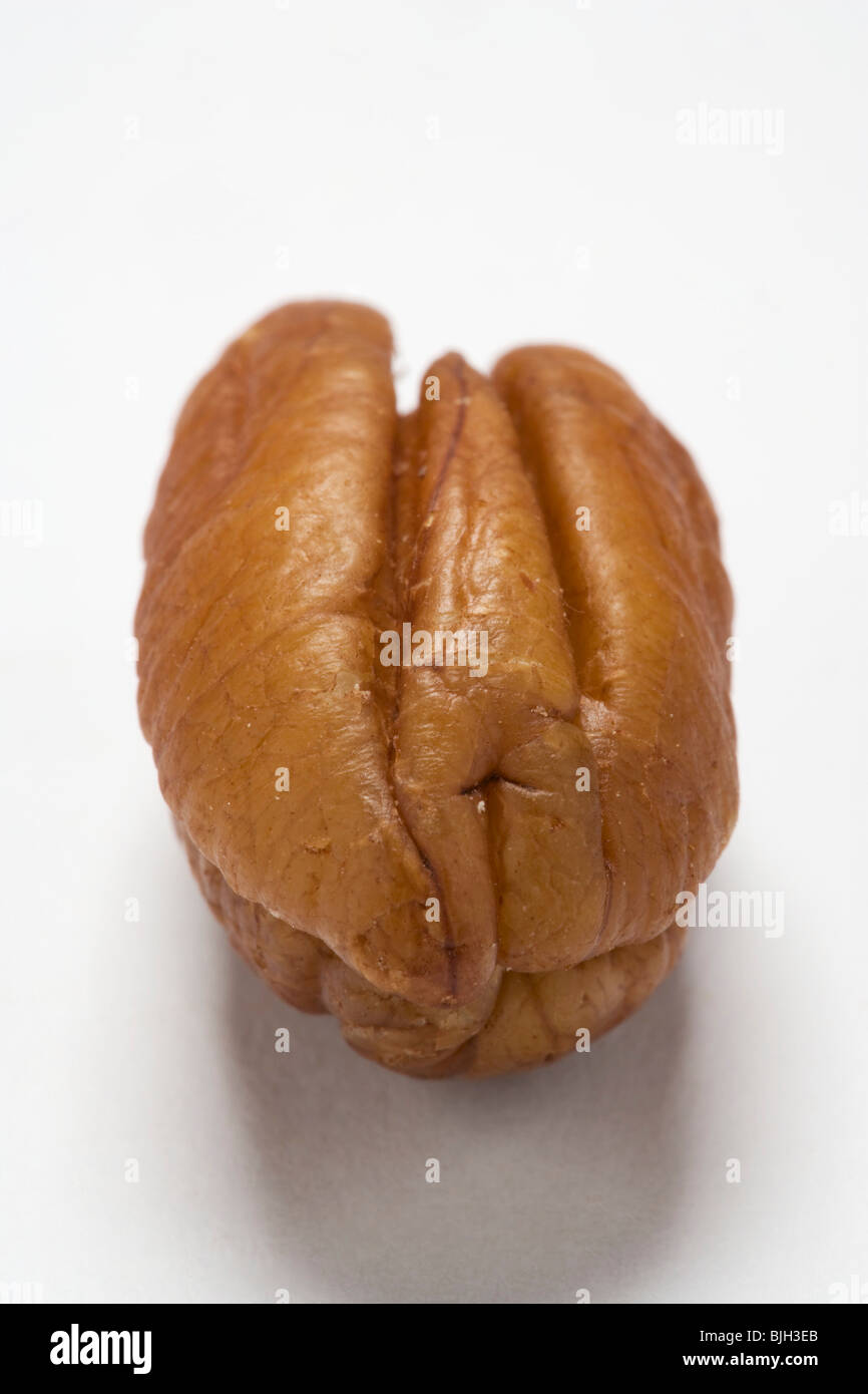 Single pecan nut hi-res stock photography and images - Alamy