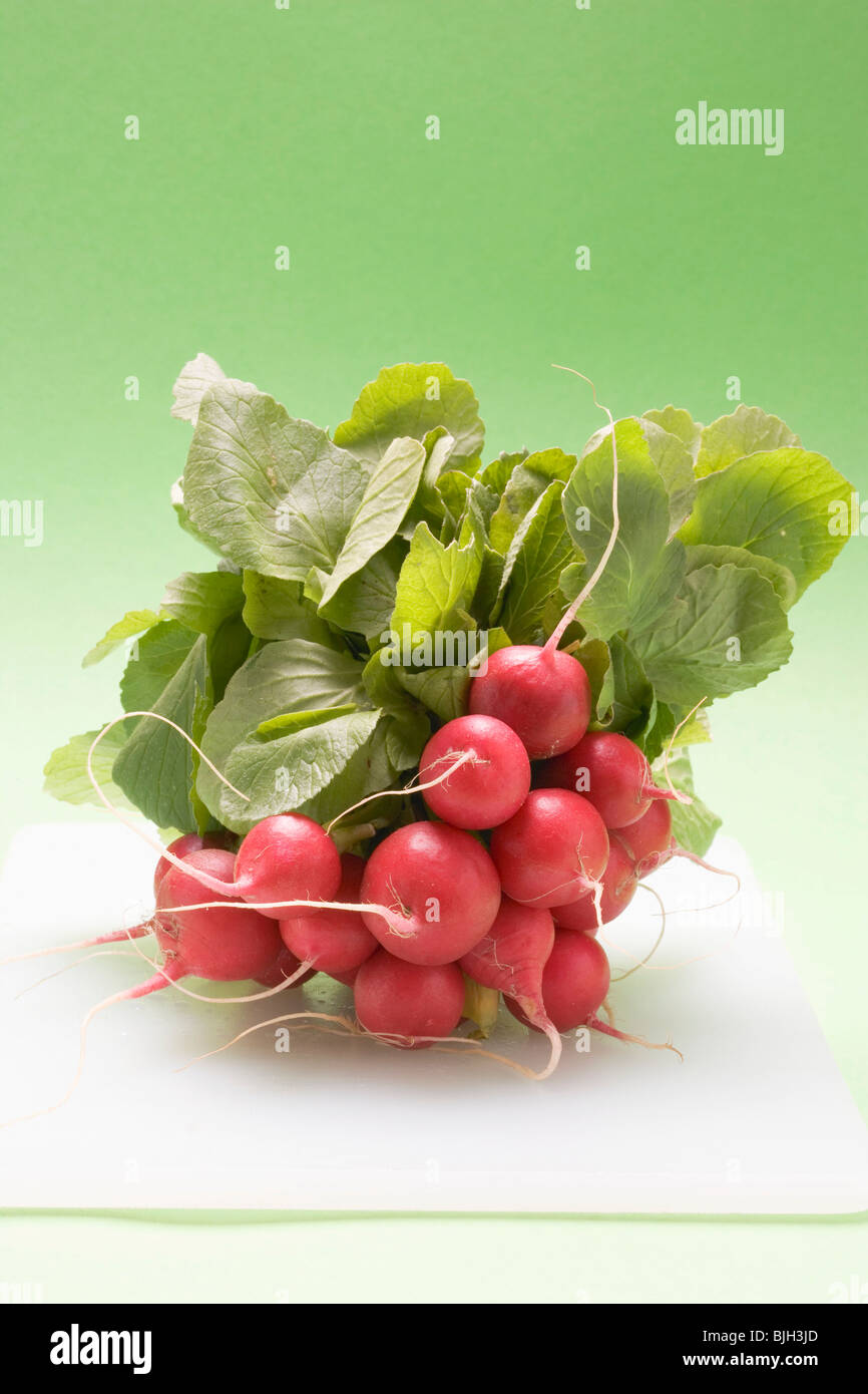 A bunch of radishes Stock Photo - Alamy