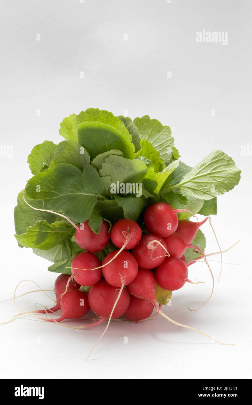 Bunched radish hi-res stock photography and images - Alamy