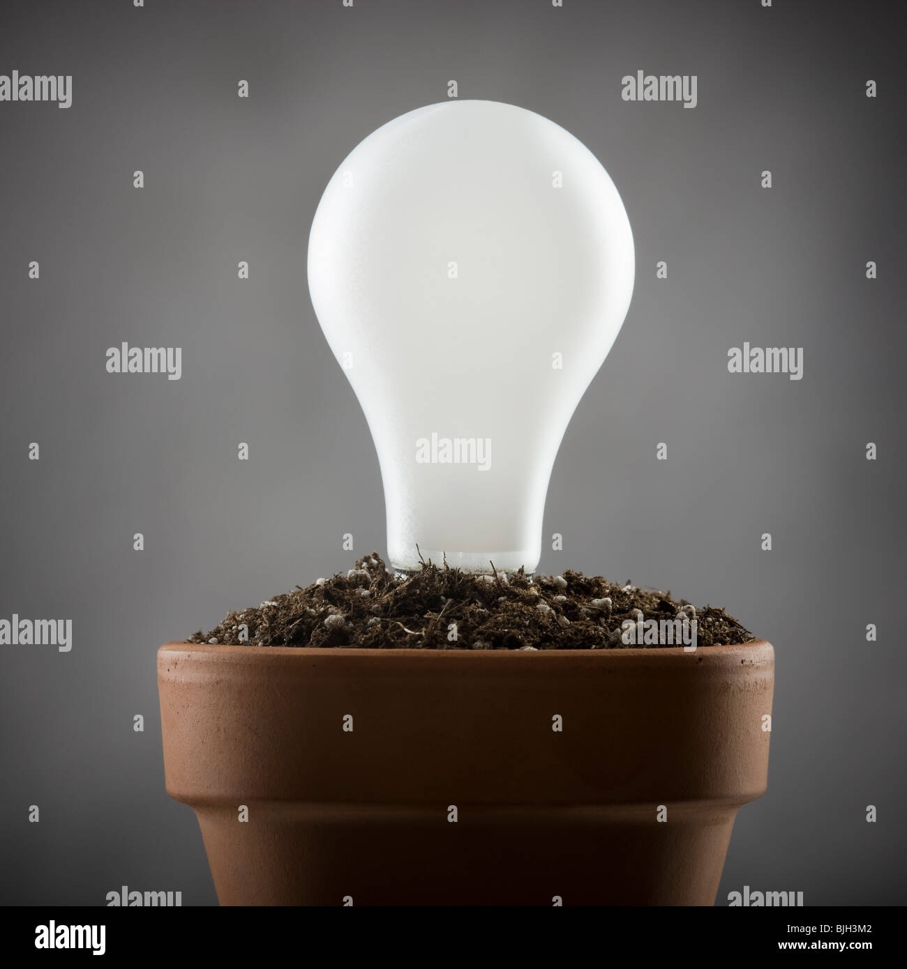 light bulb planted in a pot of soil Stock Photo - Alamy